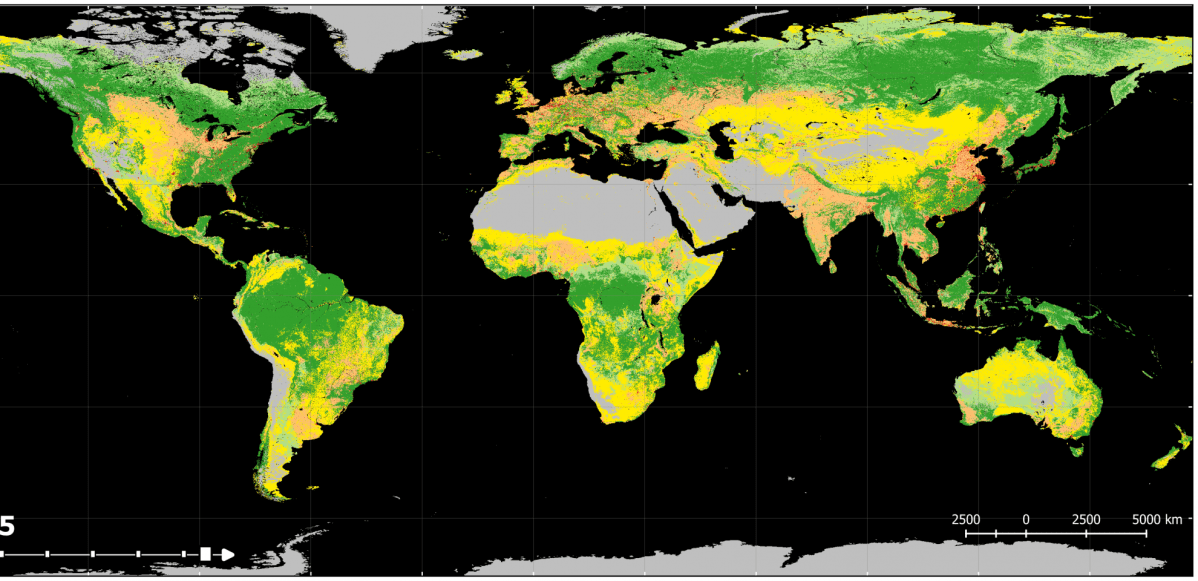 Sneak peak on HiLDA+ Global Land Use Change – Land Change Stories